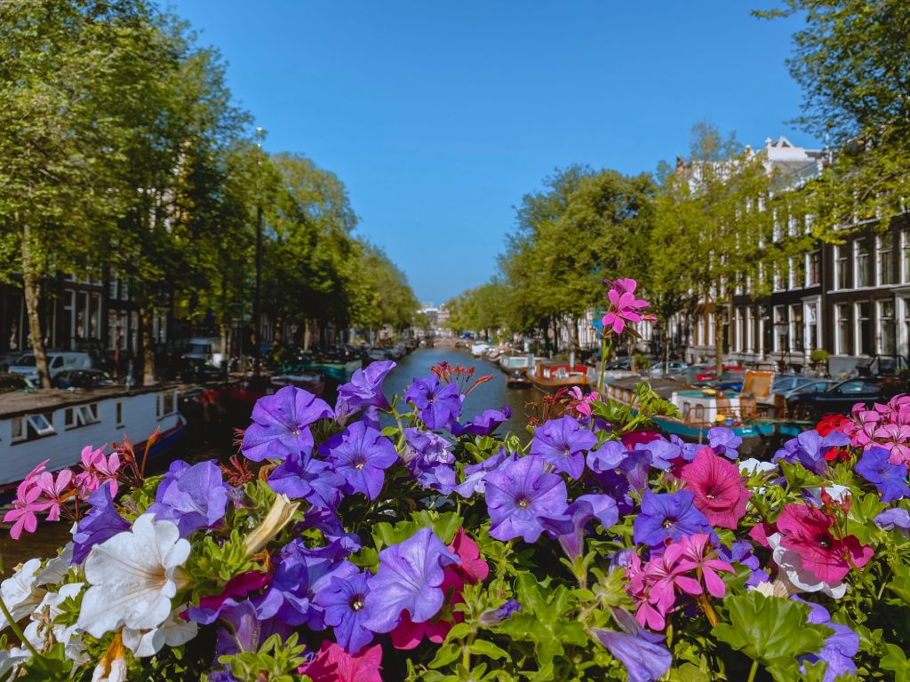 การตรวจสุขภาพออแพร์เนเธอร์แลนด์ ที่โรงพยาบาลพญาไท 2 | BeyondYaovy