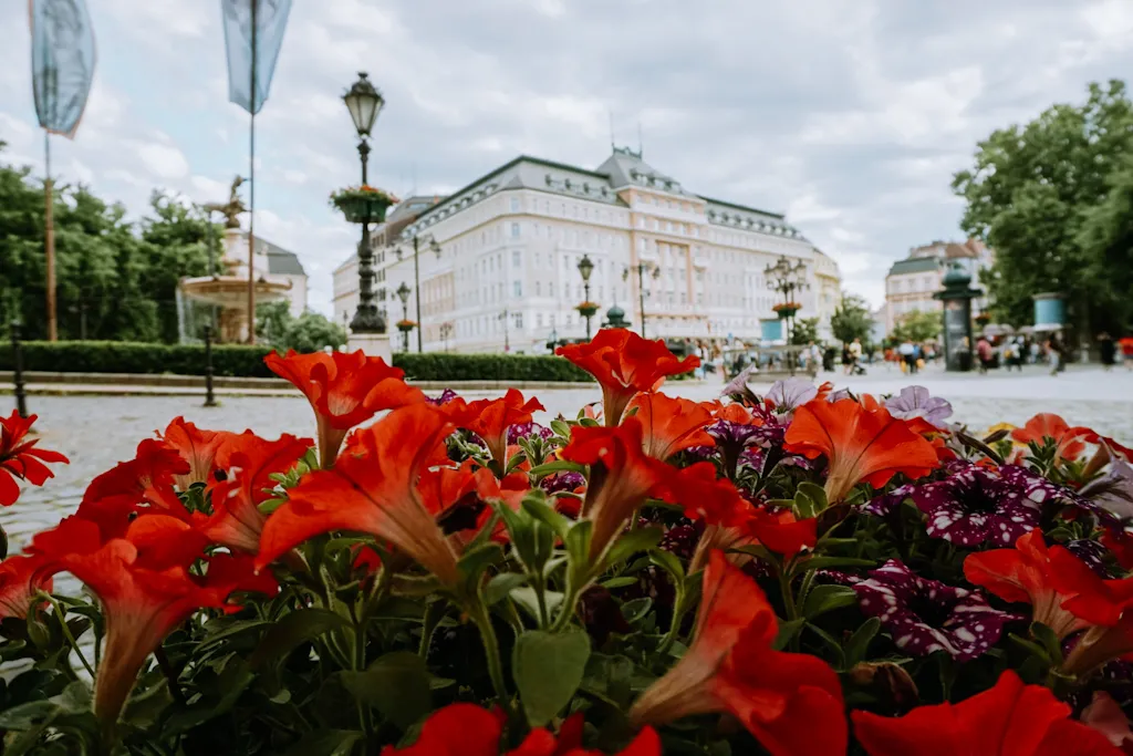 เที่ยวบราติสลาวา (Bratislava) เมืองหลวงโปรยเสน่ห์ของสโลวาเกีย | BeyondYaovy