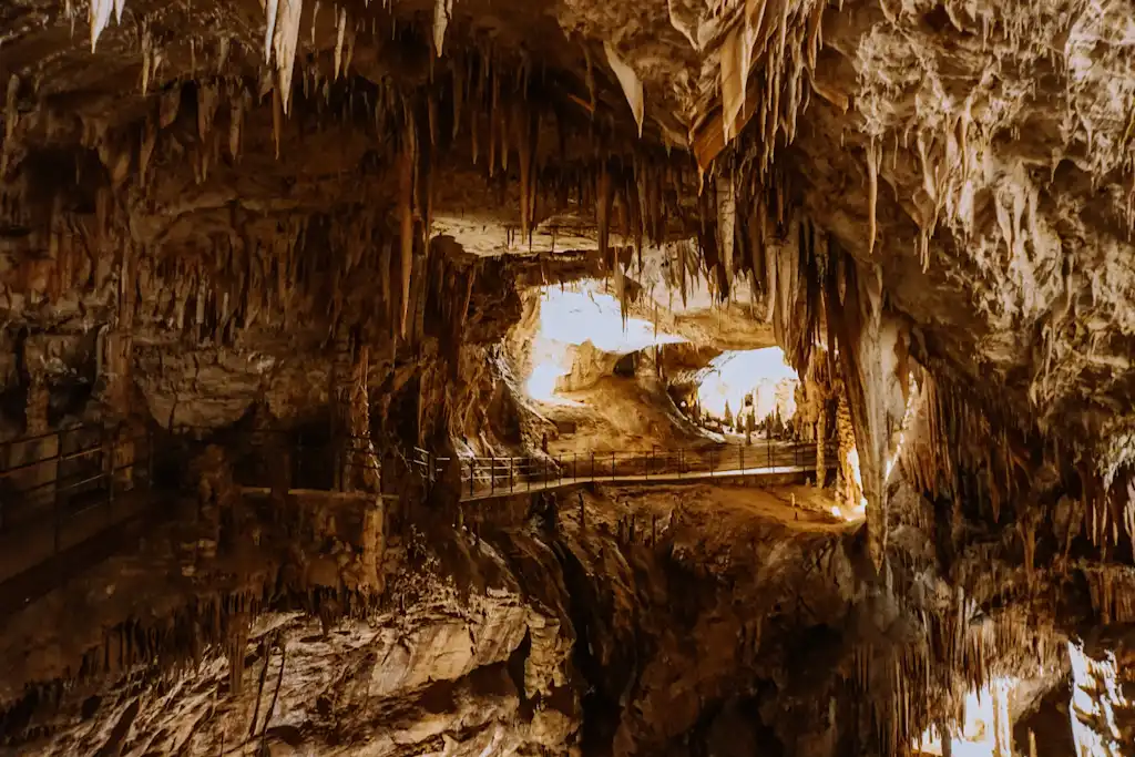 เที่ยวถ้ำโพสทอยน่า (Postojna Cave) ราชินีแห่งถ้ำสโลวีเนีย | BeyondYaovy