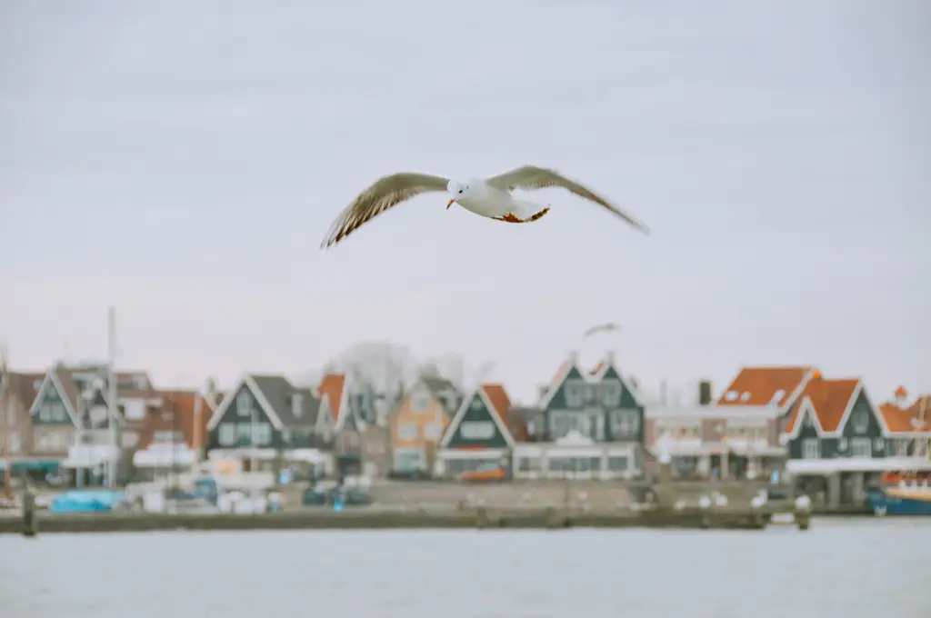 เที่ยวหมู่บ้านชาวประมงโวเลนดัม (Volendam & Marken) | BeyondYaovy