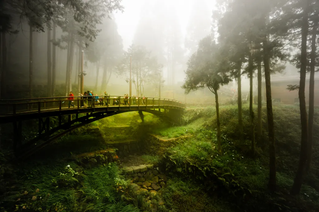 เที่ยวอาลีซาน ไต้หวัน 2 วัน + แวะเที่ยวเฟิ่นฉี่หู นั่งรถไฟโบราณ | BeyondYaovy